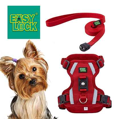 EASY LOCK 經典款 紅 - Easy Lock®台灣官方網站 歡迎光臨